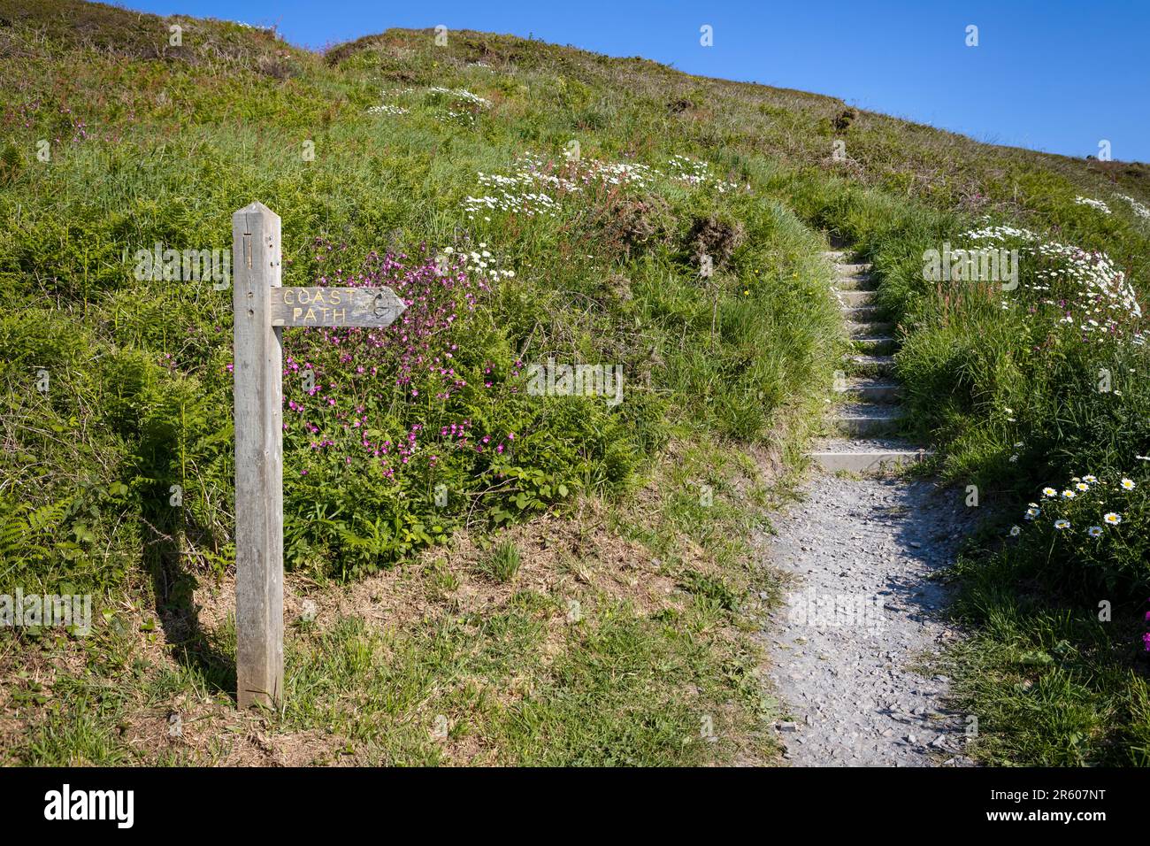 Coastal Path sign and pathway at Hartland Peninsula, Devon Stock Photo ...