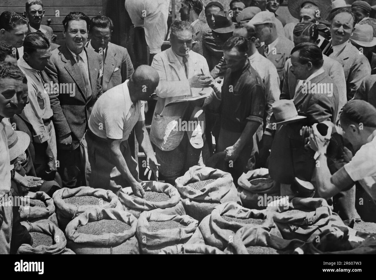 the dictator Mussolini who makes propaganda during the wheat war ...