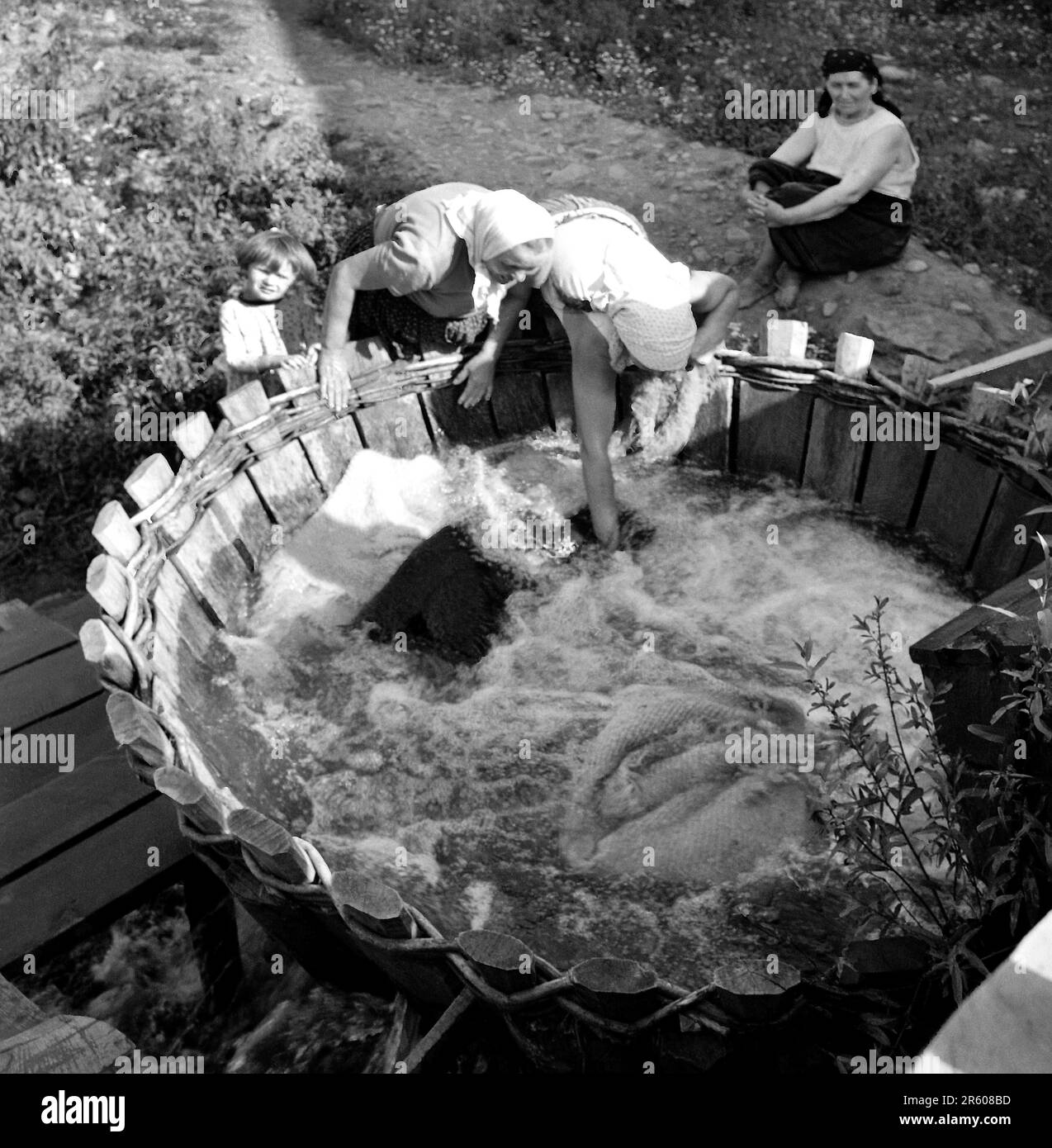 Maramures County, Romania, approx. 1977. Women washing wool rugs into a ...