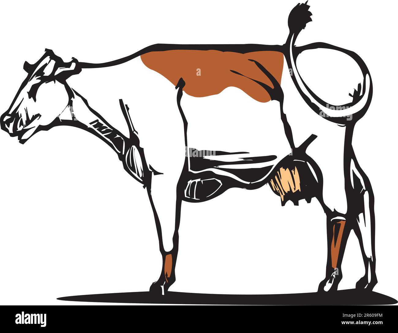 Dairy Cow with a brown spot on its back Stock Vector Image & Art - Alamy