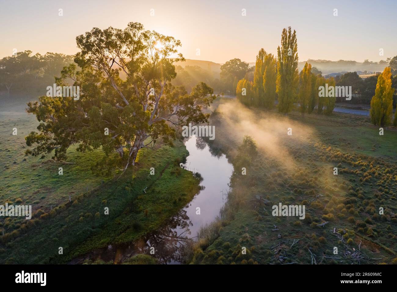 Aerial view of dawn sunshine breaking through the upper branches of a ...