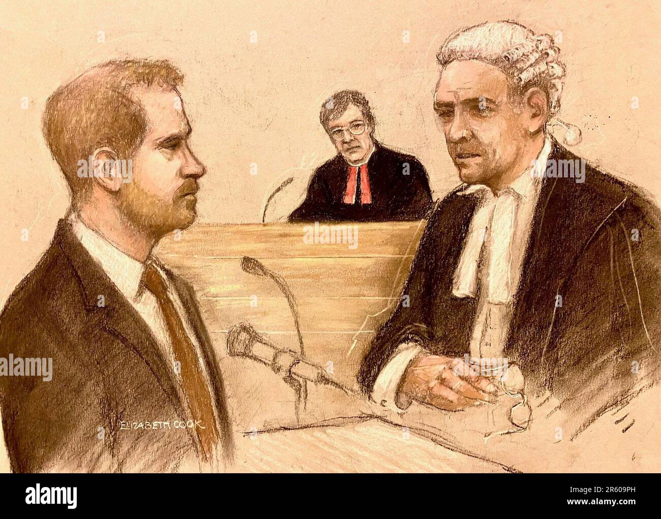 Court artist sketch by Elizabeth Cook of the Duke of Sussex (left ...
