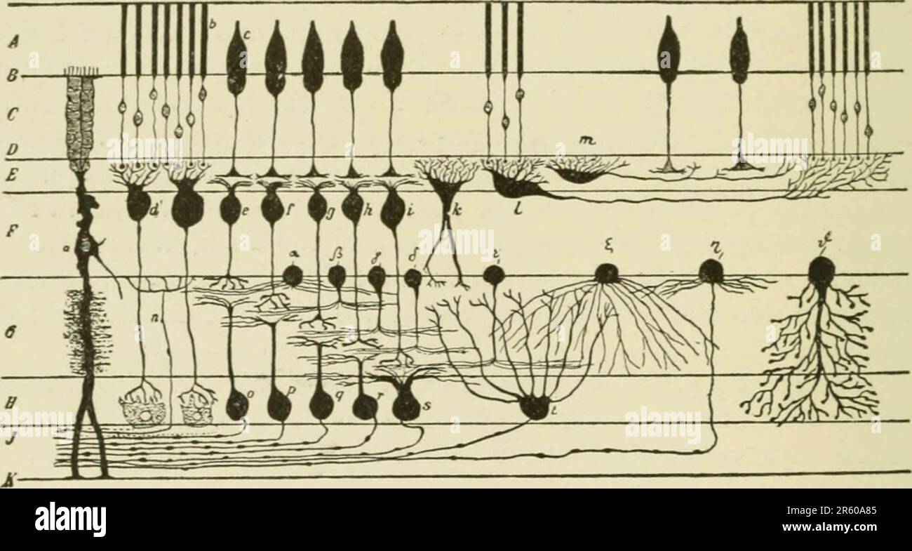 "Text-book of normal histology: including an account of the development ...