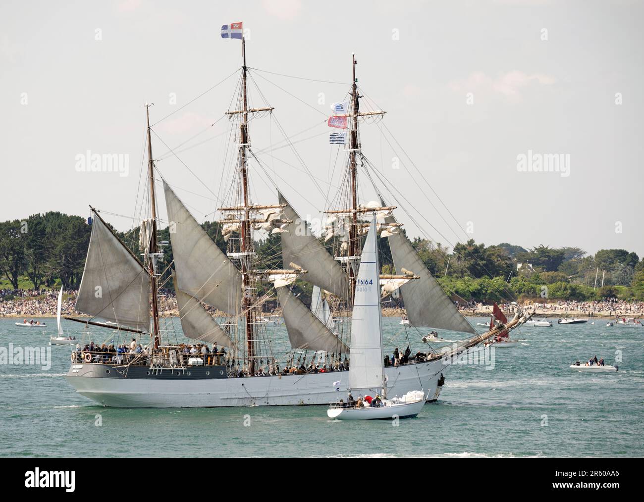 Le Français (ex-Kaskelot) : three-masted wooden barque, in front of ...