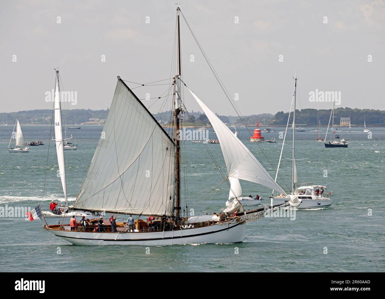 Lola of Skagen : Sail fishing cutter, in front of Port-Navalo, during ...