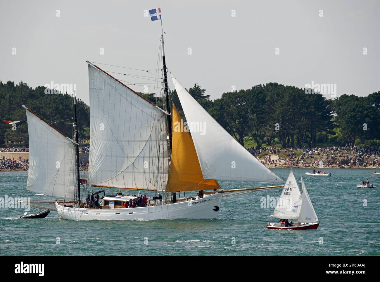 Étoile Molène : mixed tuna dinghy (1954. Home port : Saint-Malo, in ...
