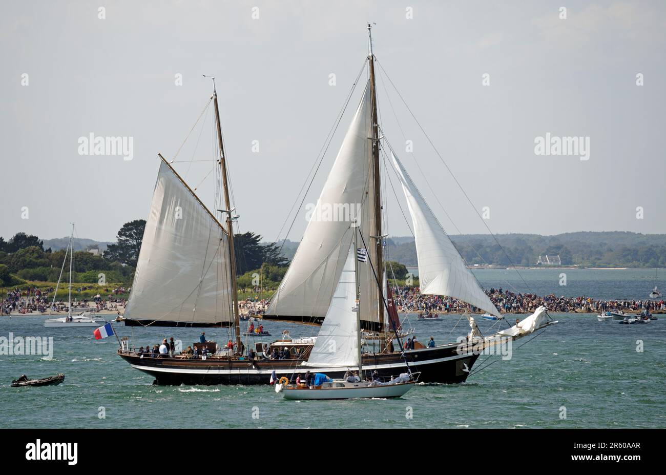Ring Andersen : Baltic wooden ketch, in front of Port-Navalo, during ...