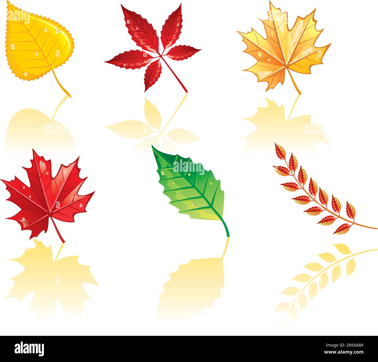 Maroon plant Stock Vector Images - Alamy