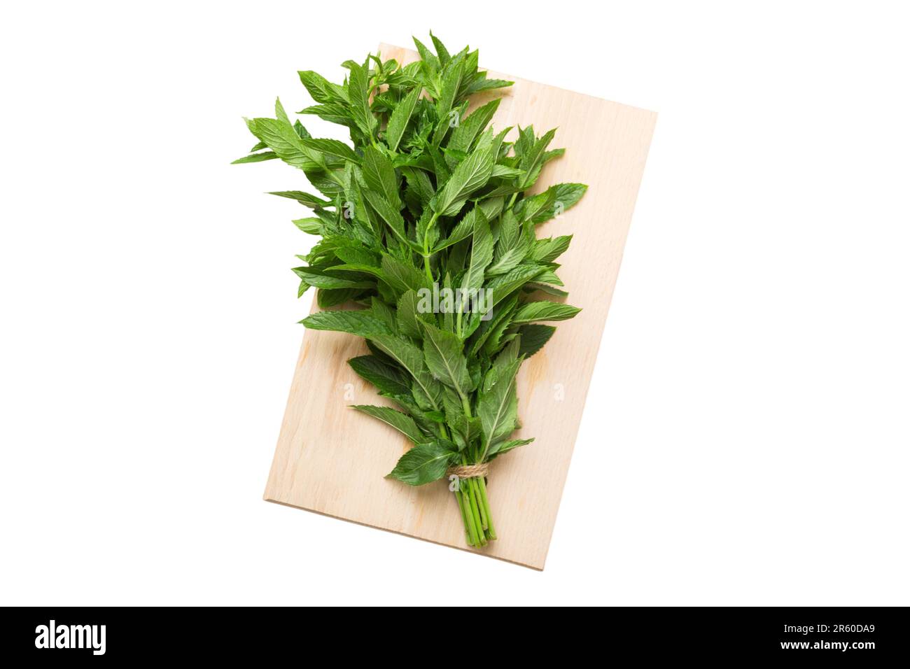 Fresh mint bunch on colored table. Top view isolated on white ...