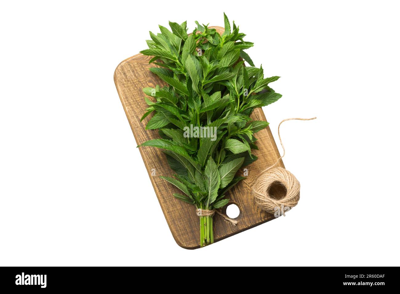 Fresh mint bunch on colored table. Top view isolated on white ...