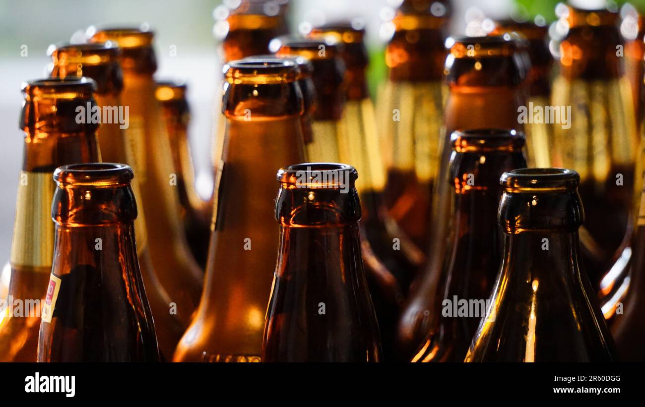 Brewing home beer process at home in the kitchen Stock Photo - Alamy