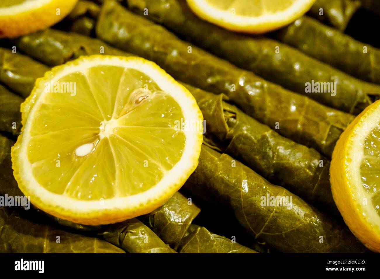Stuffed grape leaves Yaprak Sarma traditional Turkish food close up ...
