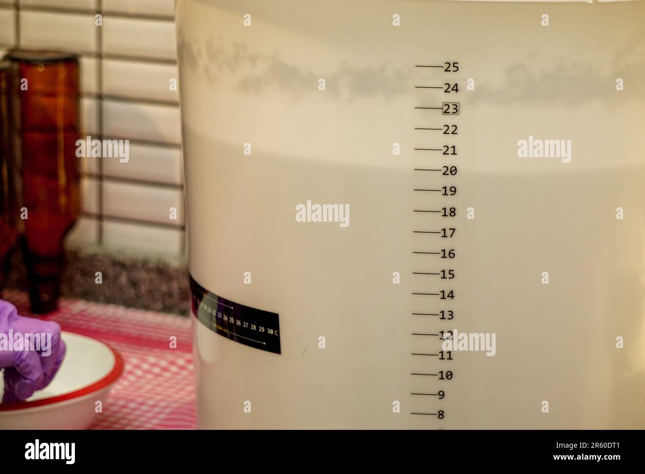 Brewing home beer process at home in the kitchen Stock Photo - Alamy