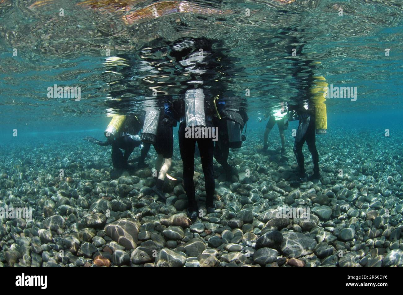 Group of divers standing on rocks in shallows doing pre-dive safety ...