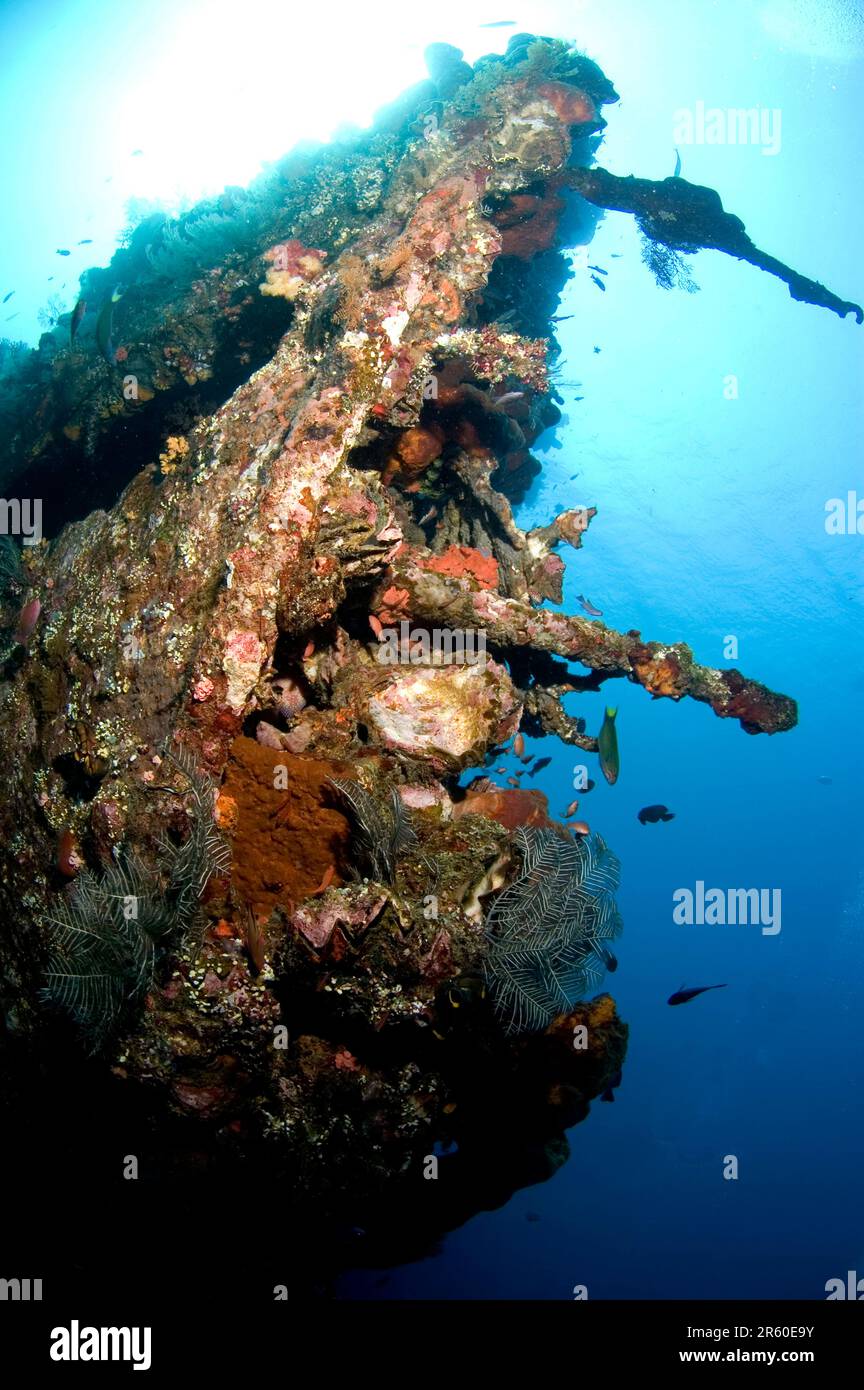 Side of USAT Liberty ship, US Army transport ship torpedoed by Japanese ...