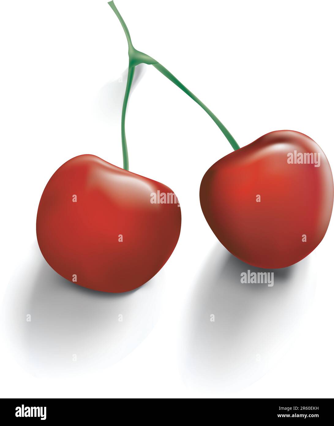 A Vector Illustration of a pair of Red Juicy Cherries! 3D effect is achieved using Mesh Tool in ...