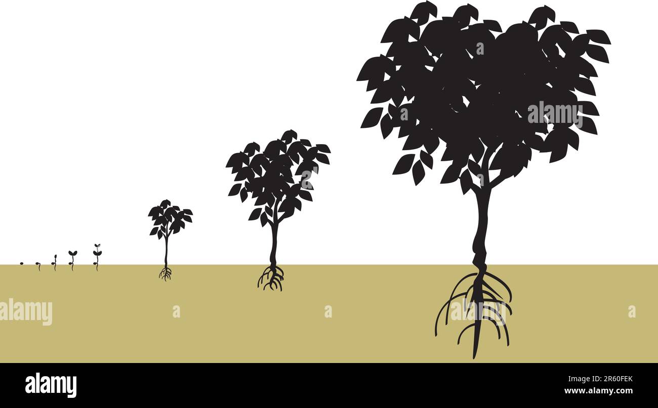 Biological process Stock Vector Images - Alamy