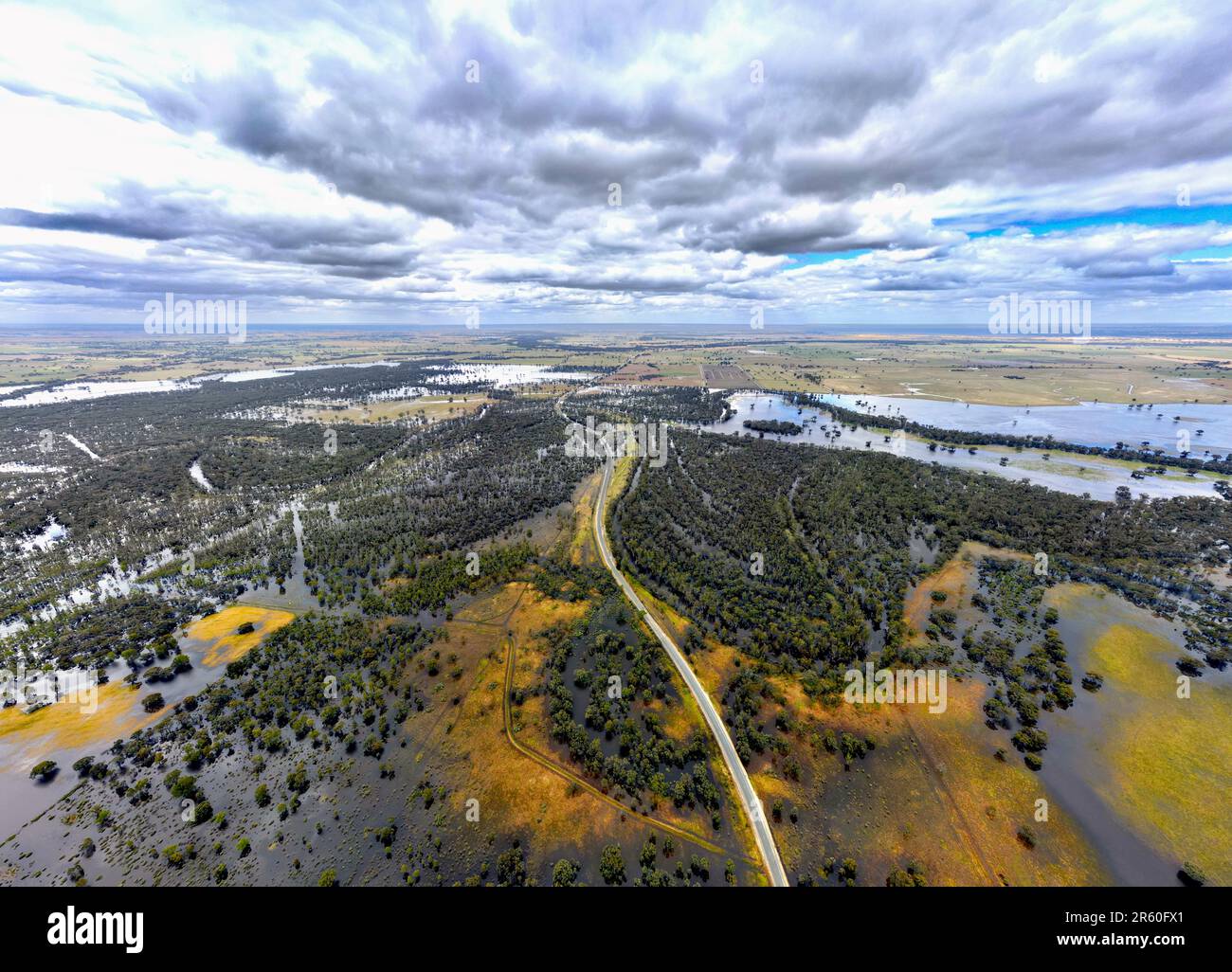 Aerial view of a flooded landscape featuring trees surrounded by water ...
