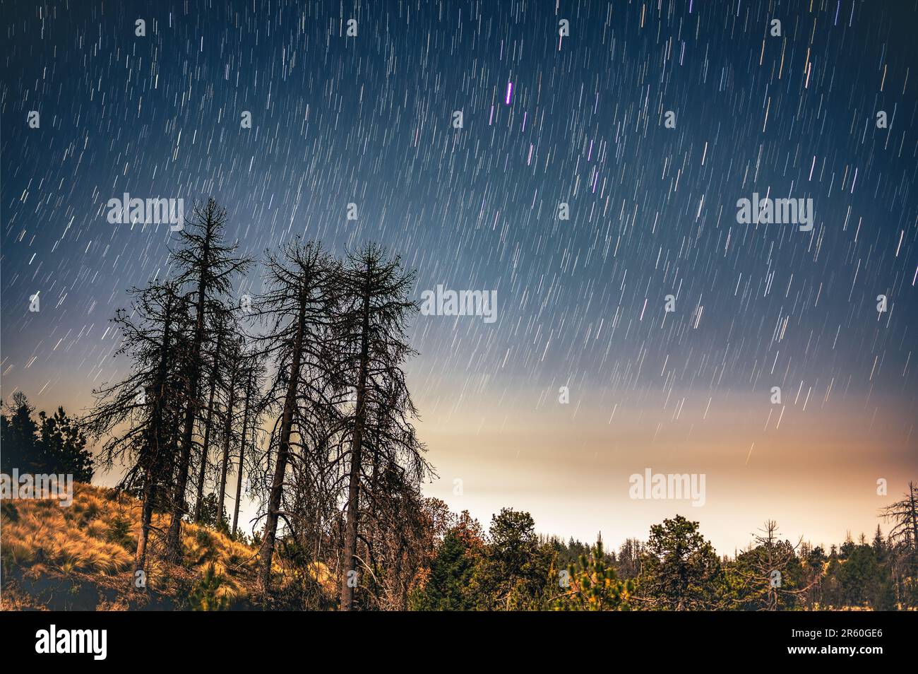 Parque National Volcan Nevado de Colima under the starry sky Stock ...