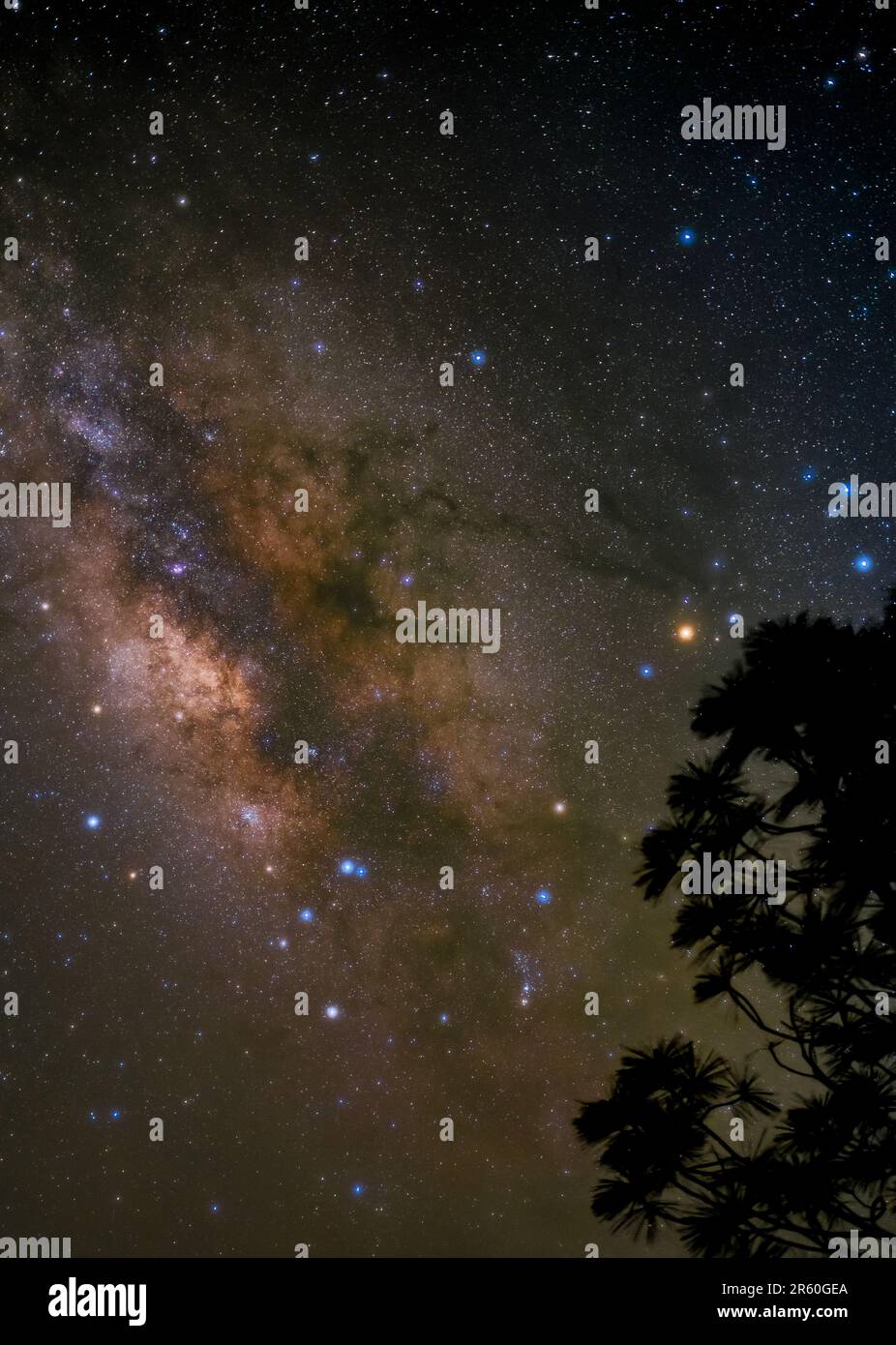 MilkyWay Galactic Core rising over the south east sky. Taken from ...