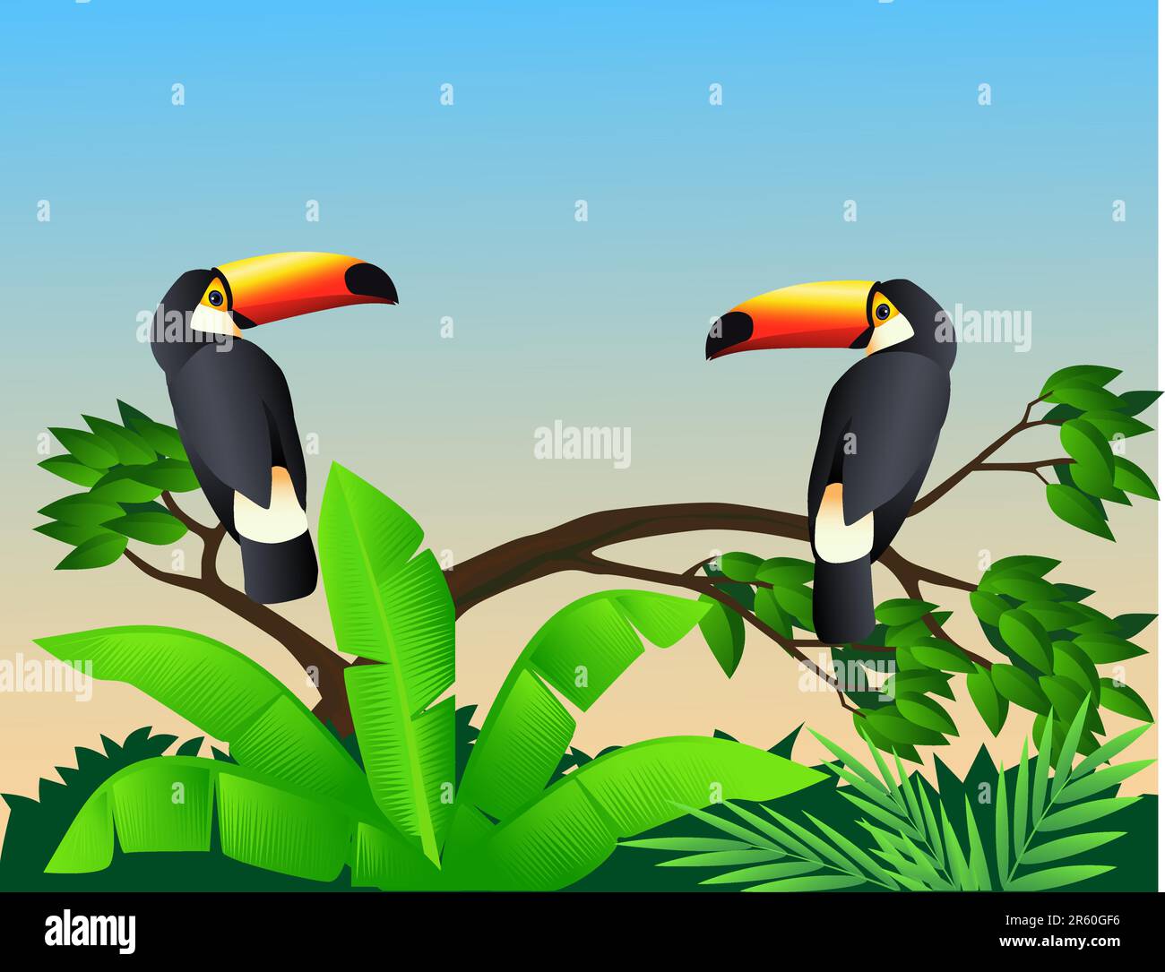 Bird habitat picture Stock Vector Images - Alamy