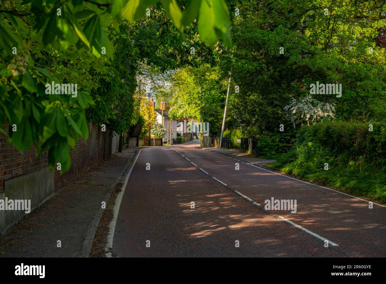 Leafy main street hi-res stock photography and images - Alamy