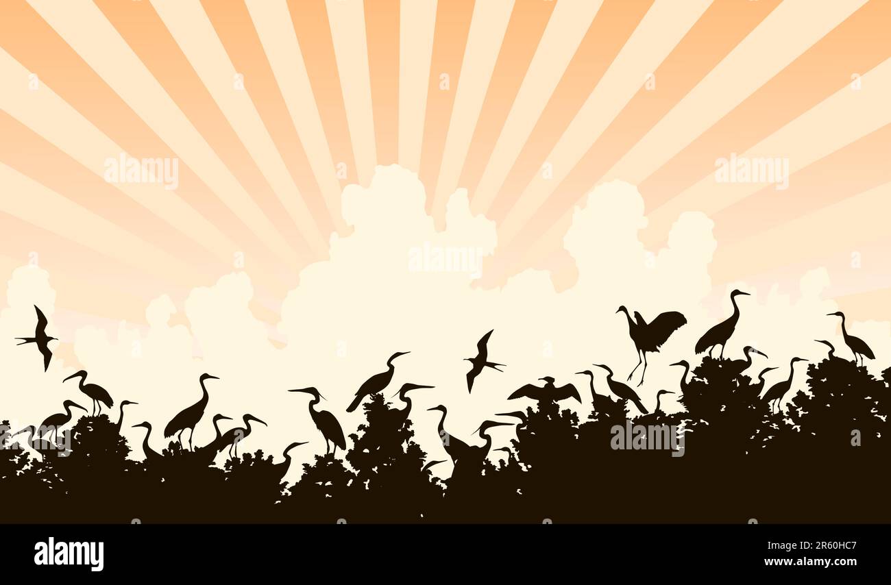 Canopy bird Stock Vector Images - Alamy