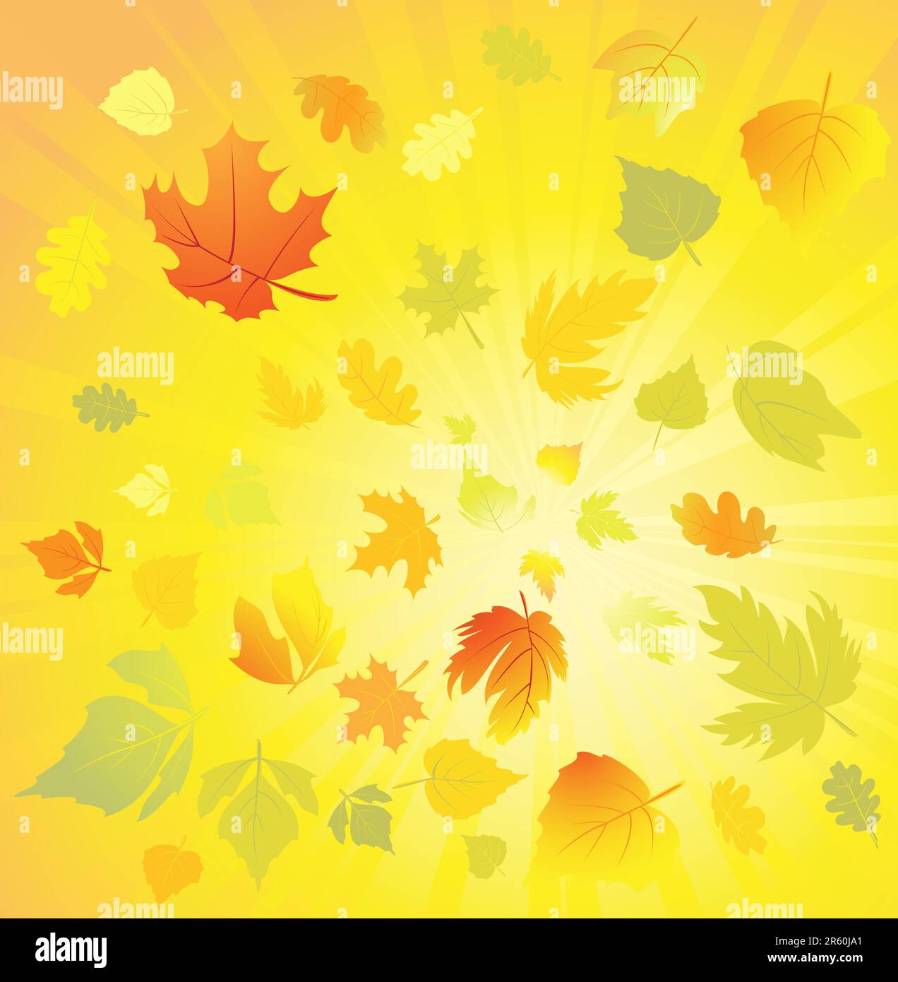 Autumn leaves design elements, vector Stock Vector Image & Art - Alamy