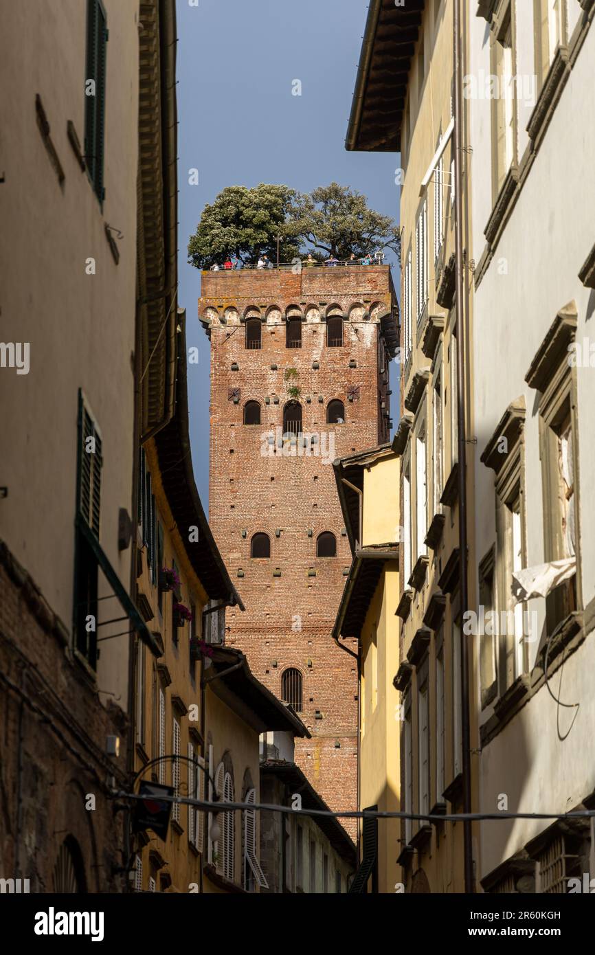 Lucca, Italy - june 2 2023 - Torre Guinigi - brick tower from 14th ...