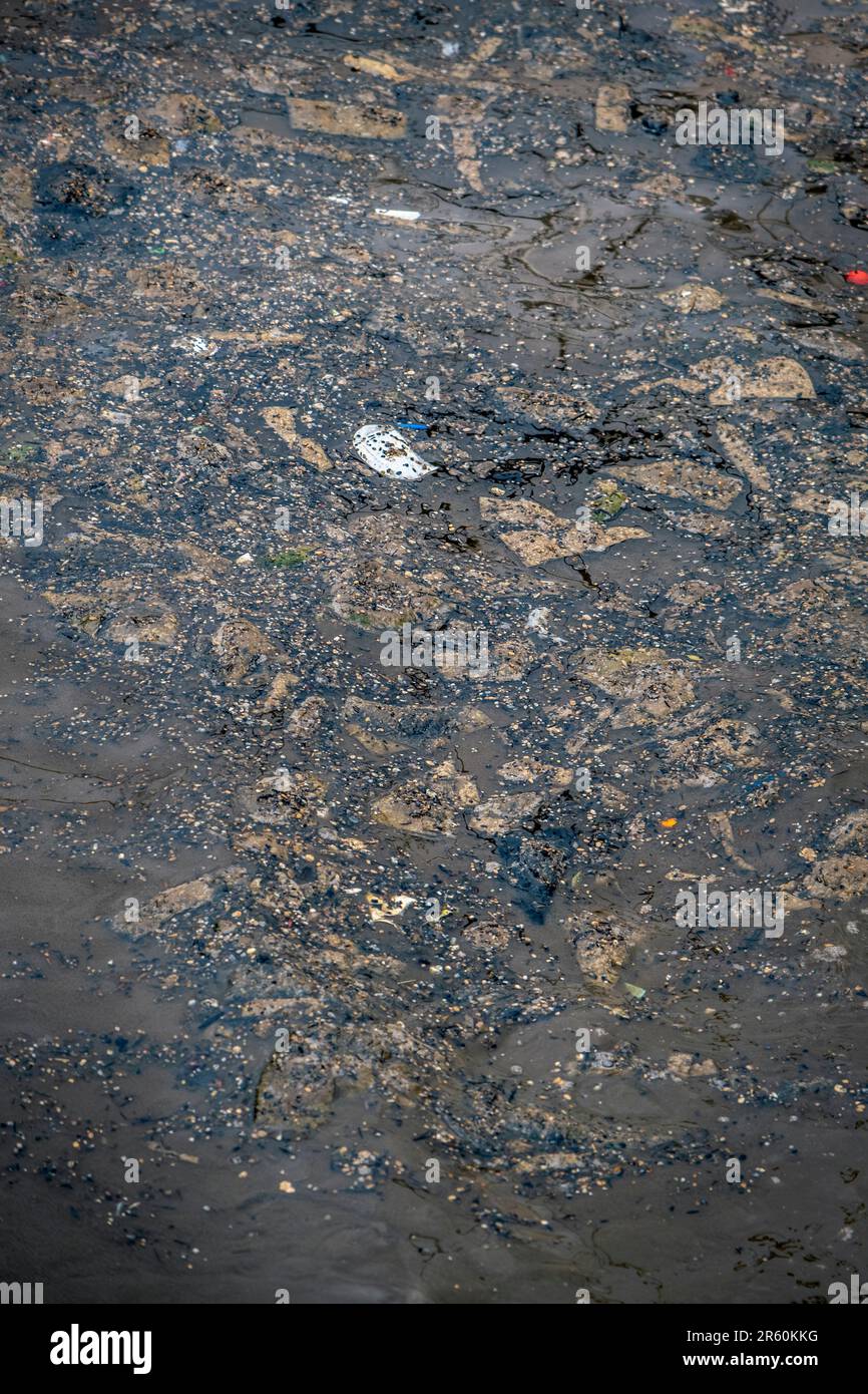 Sewage is treated at the U.S. International Boundary and Water ...