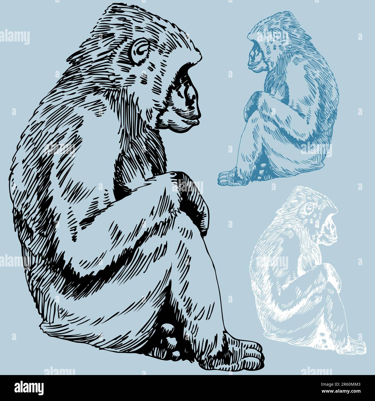 Primate drawn by hand in black and blue coloring Stock Vector Image ...