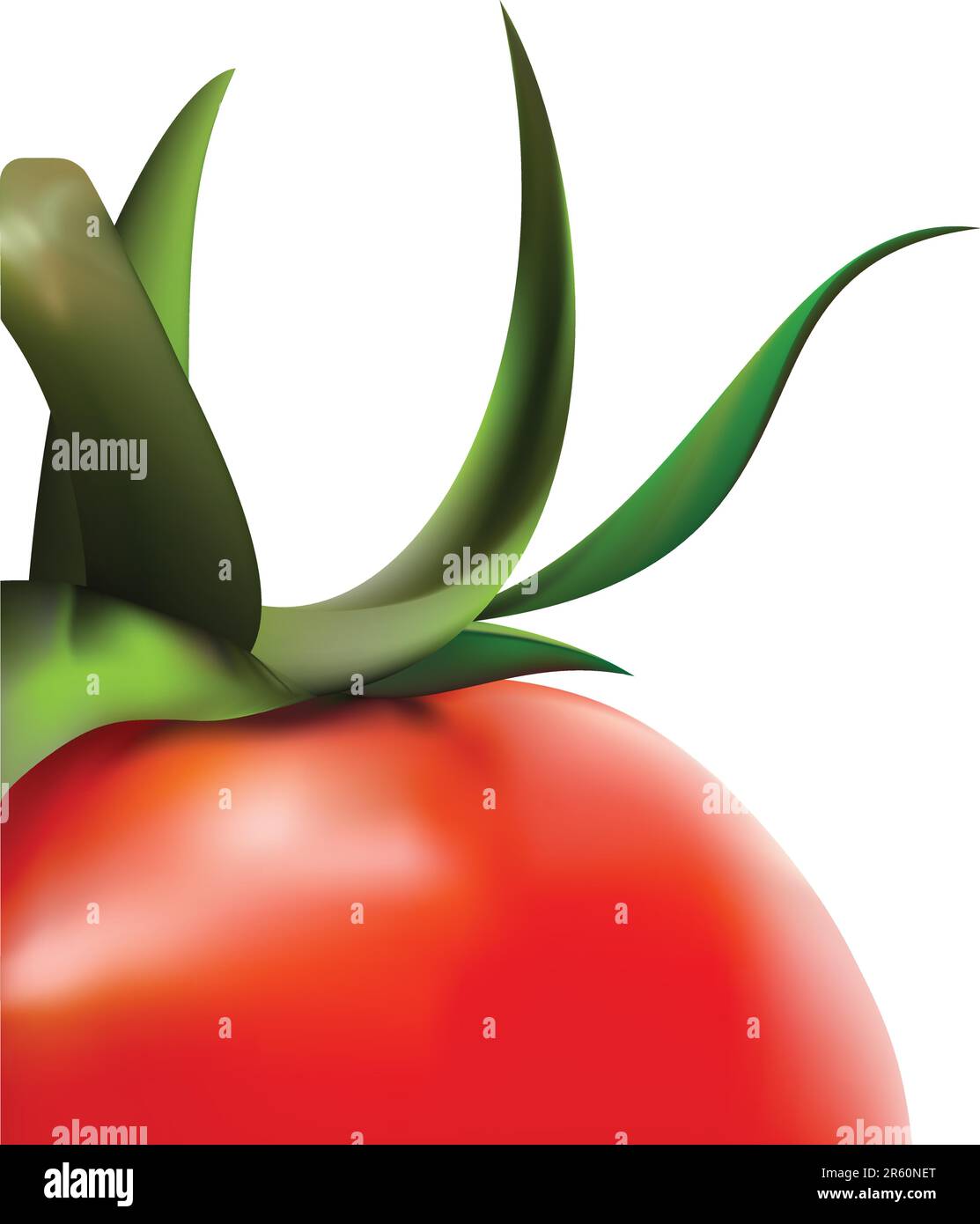 Close up white in natural Stock Vector Images - Alamy