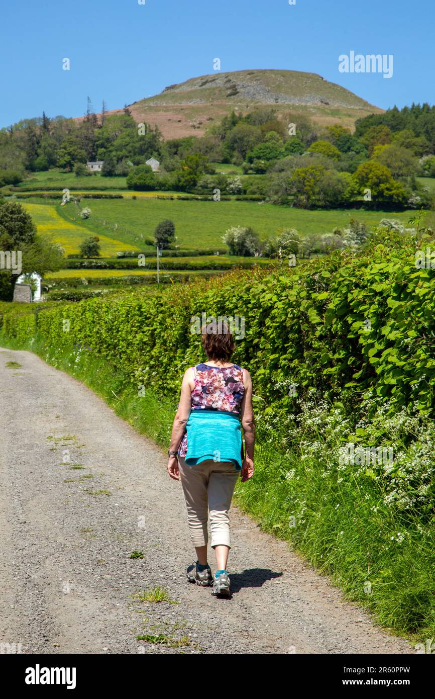 People walking along country lanes in the South Wales countryside at ...