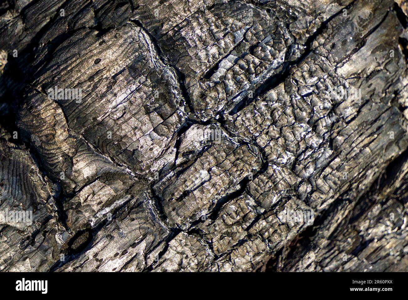 Burnt wood texture hi-res stock photography and images - Alamy