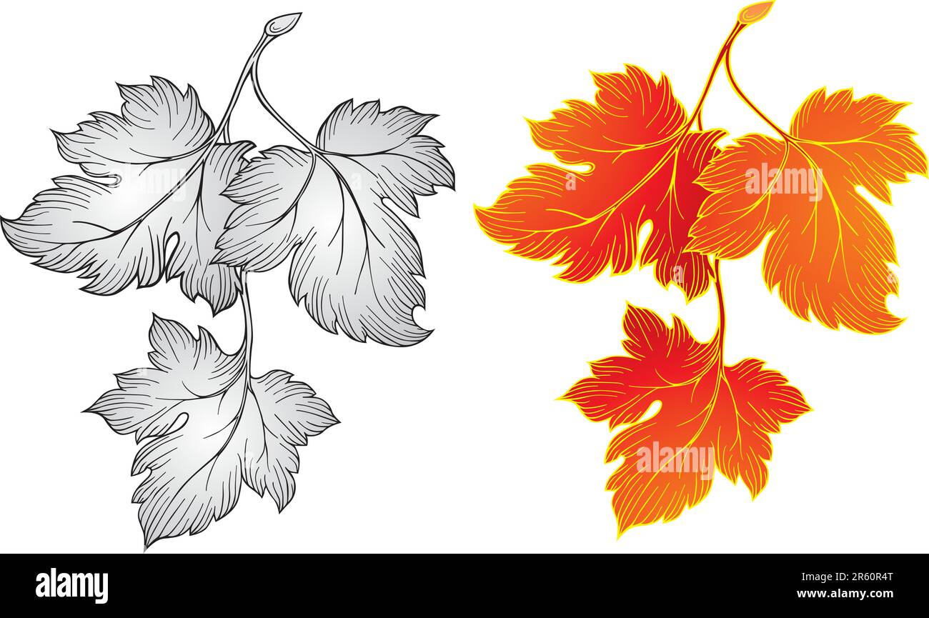 Carpet of tree leaves Stock Vector Images - Alamy