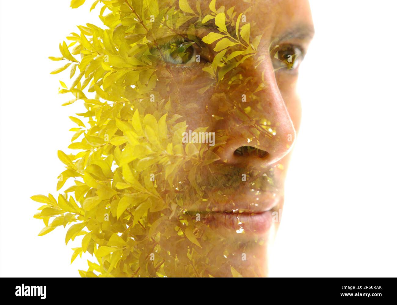 Double exposure closeup portrait of a man's face and light green leafy ...