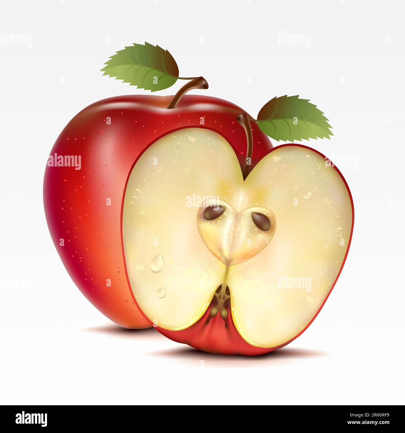 Apples with red yellow and green Stock Vector Images - Alamy