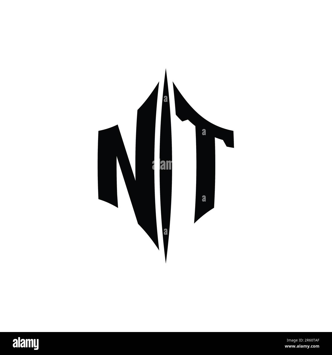 NT Letter Logo monogram hexagon diamond shape with piercing style ...