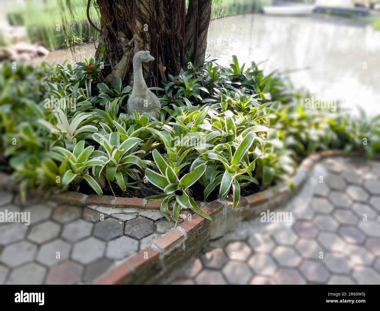 Tropical garden with amazing plants and flowers, stock photo Stock ...