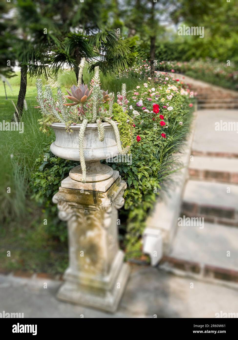 Tropical garden with amazing plants and flowers, stock photo Stock ...