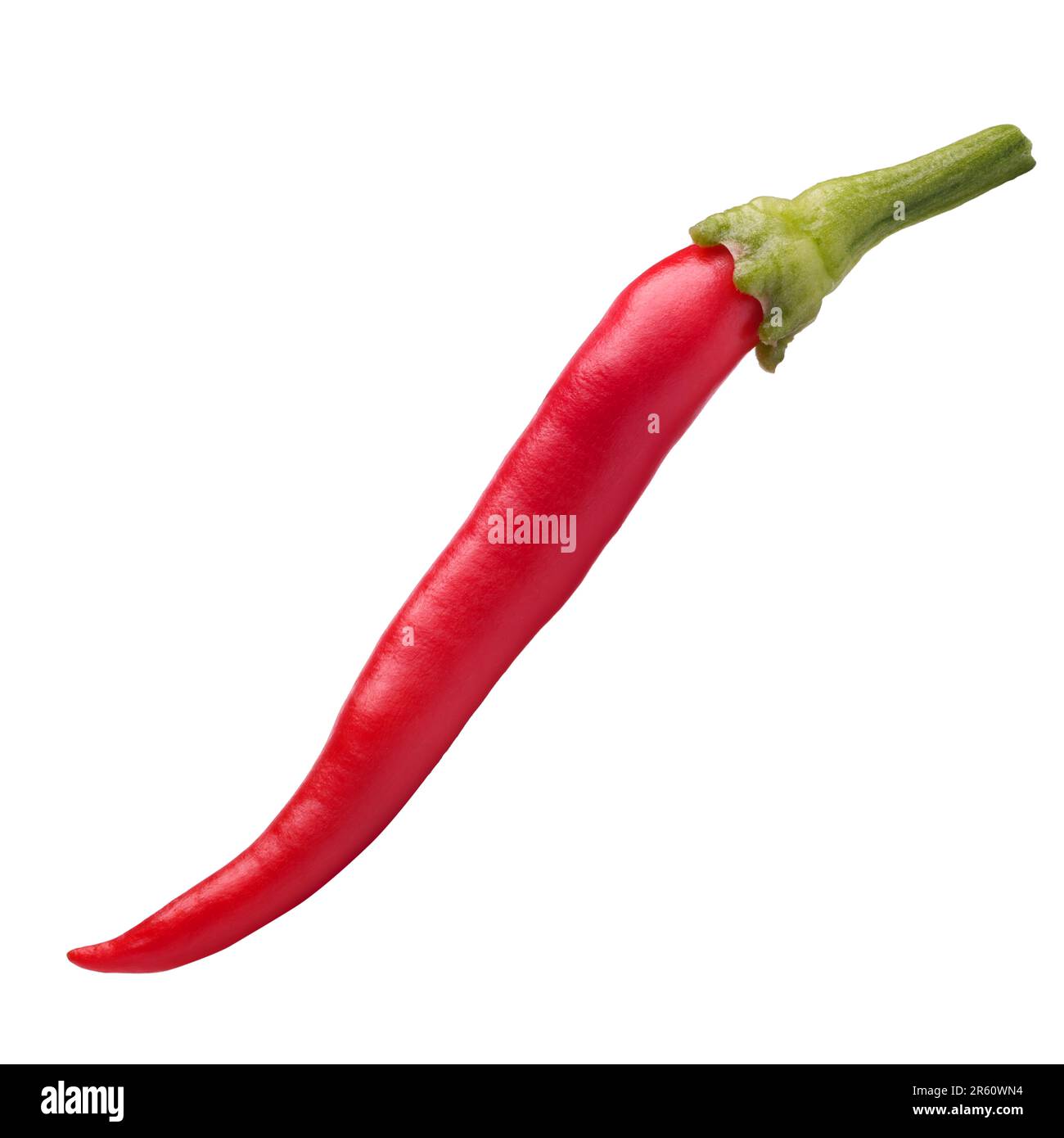Hot chili pepper transparent Stock Photo - Alamy