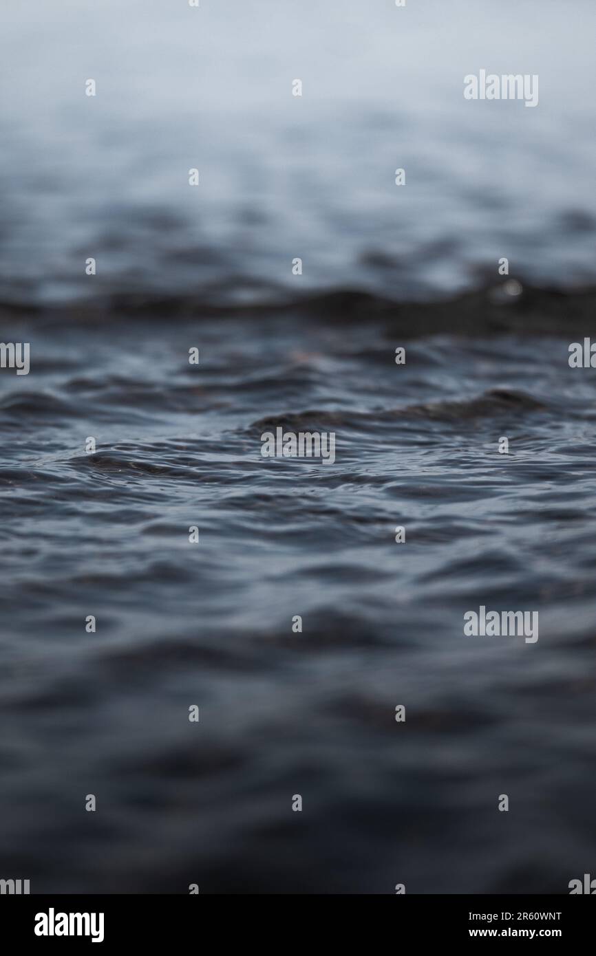 A view of a dark blue ocean surface with small waves undulating across ...