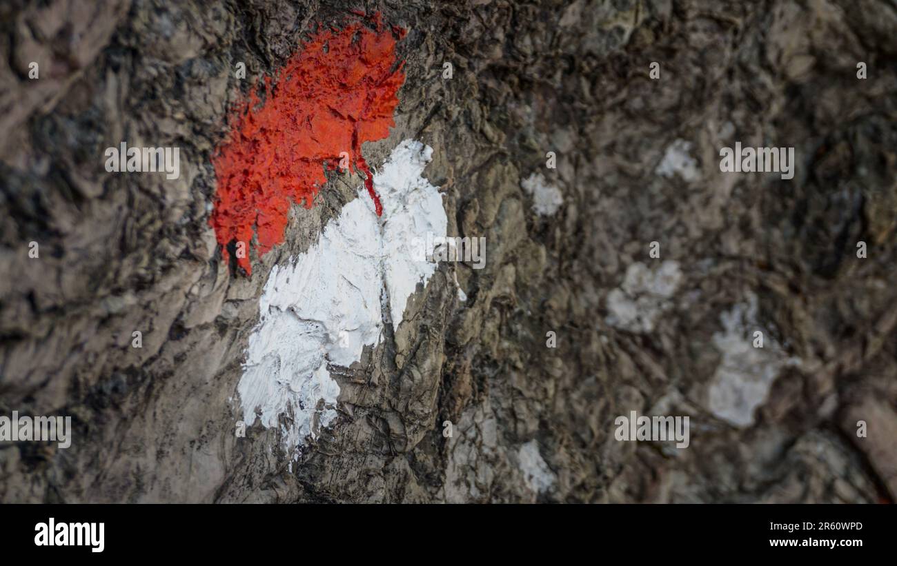 Hiking trace sign on rock showing the right path Stock Photo - Alamy