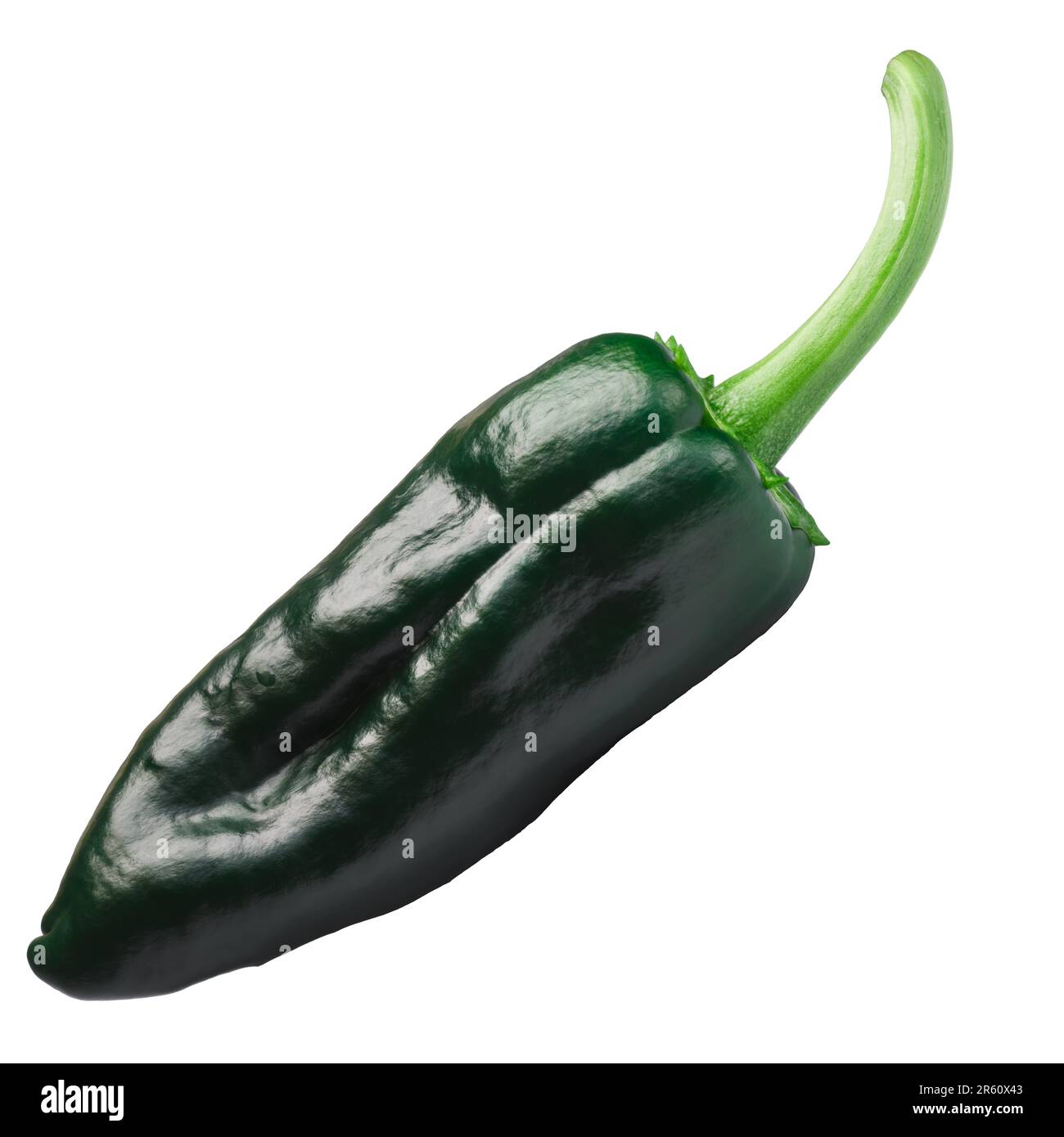 Hot chili pepper transparent Stock Photo - Alamy