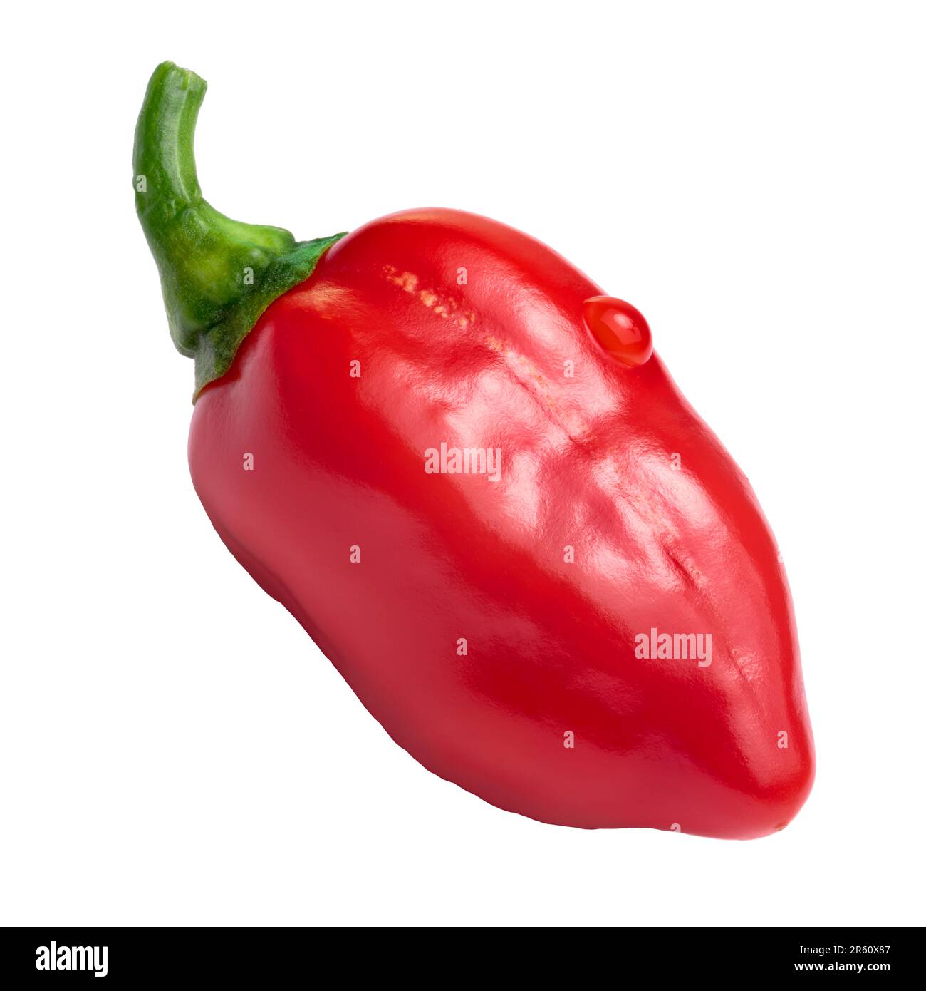 Hot chili pepper transparent Stock Photo - Alamy