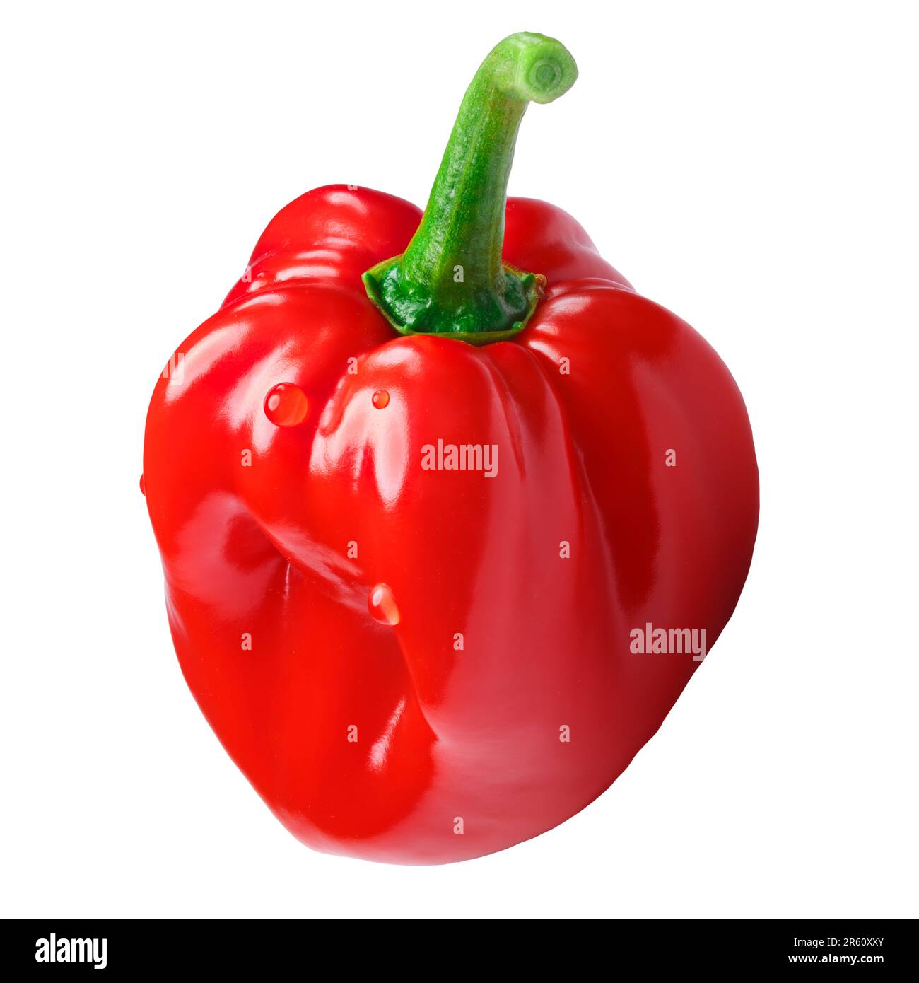 Hot chili pepper transparent Stock Photo - Alamy