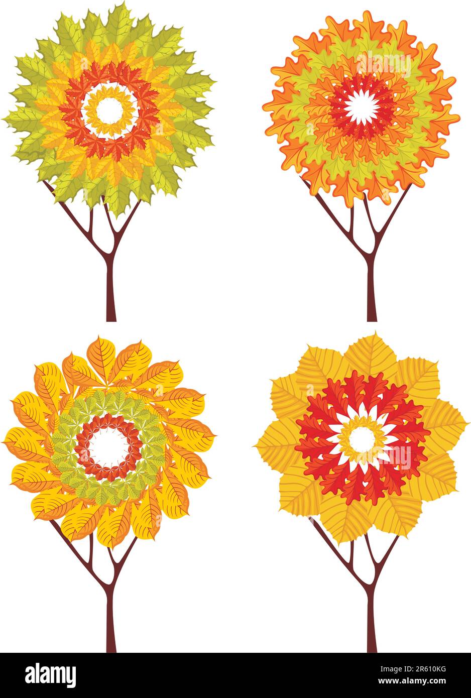 Rain tree Stock Vector Images - Alamy