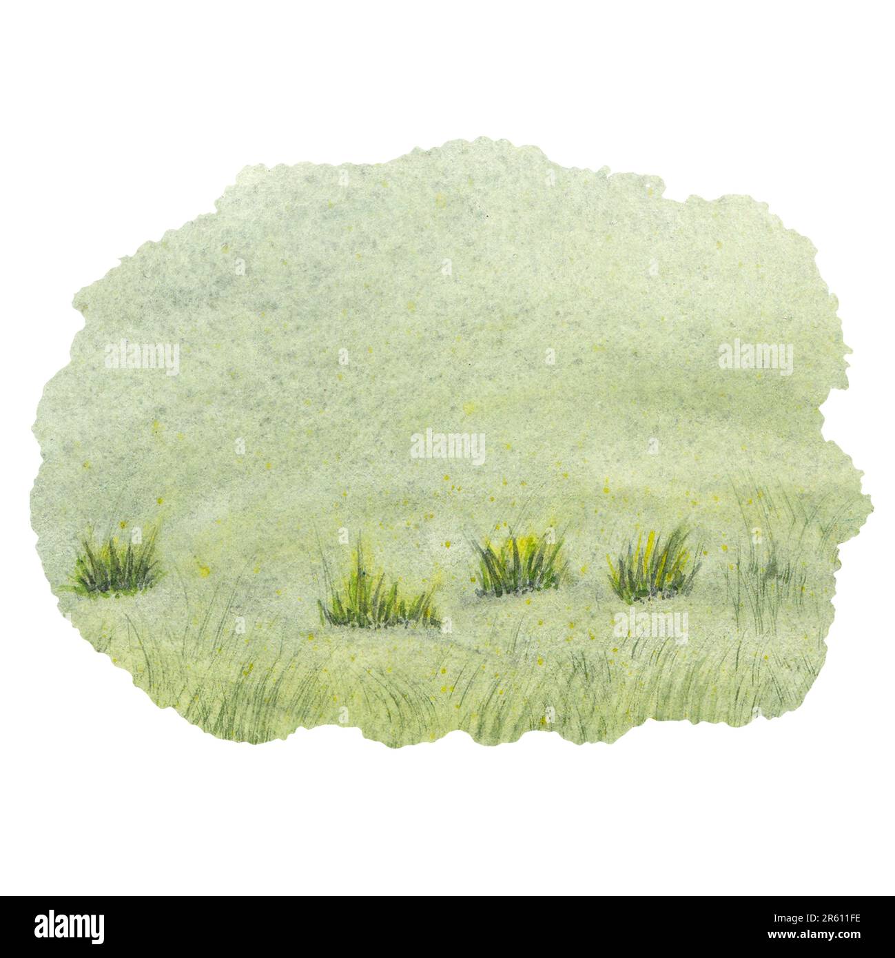Green glade, field, edge. Watercolor illustration on a white background ...