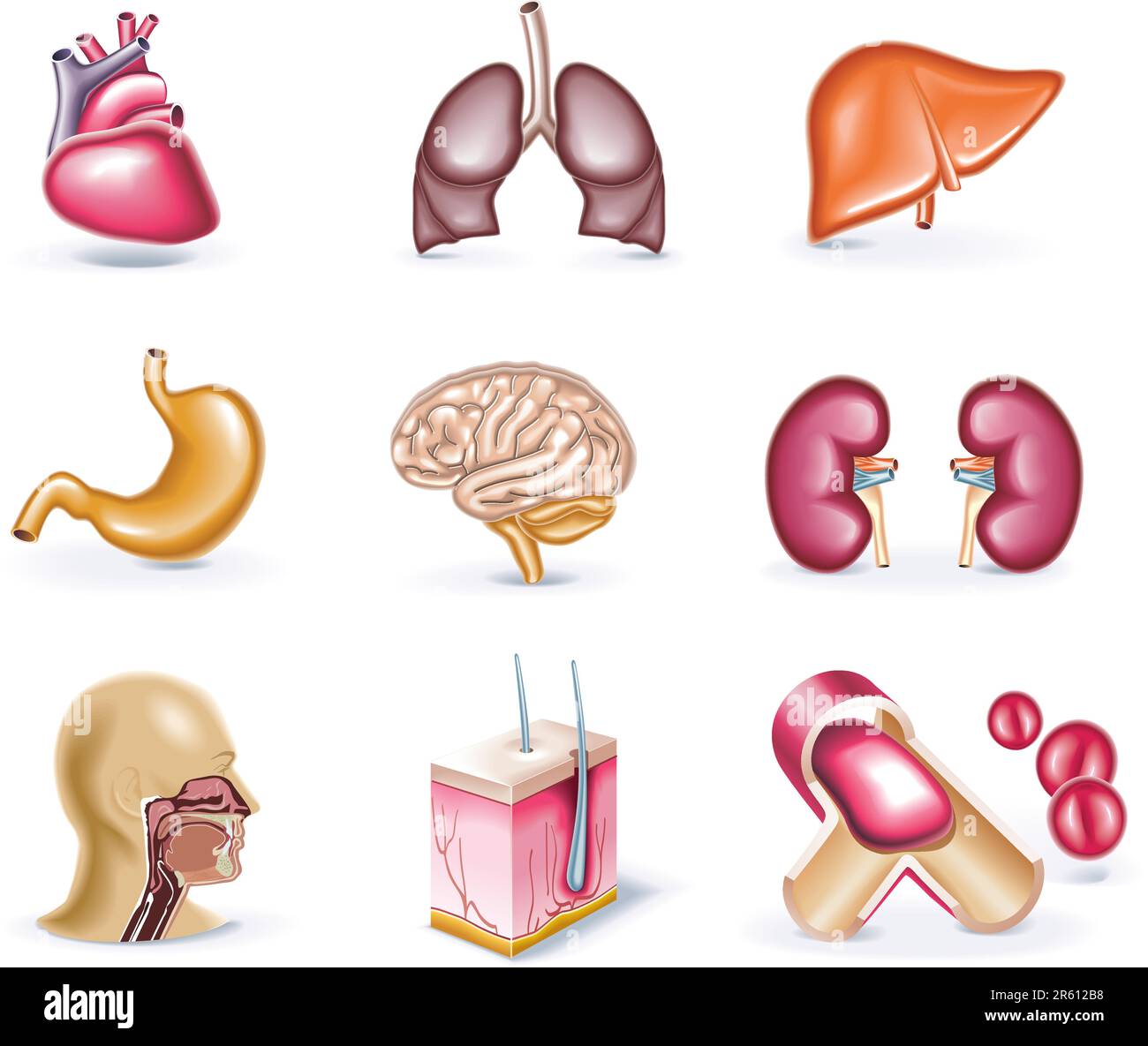 Set of highly detailed cartoon icons Stock Vector Image & Art - Alamy