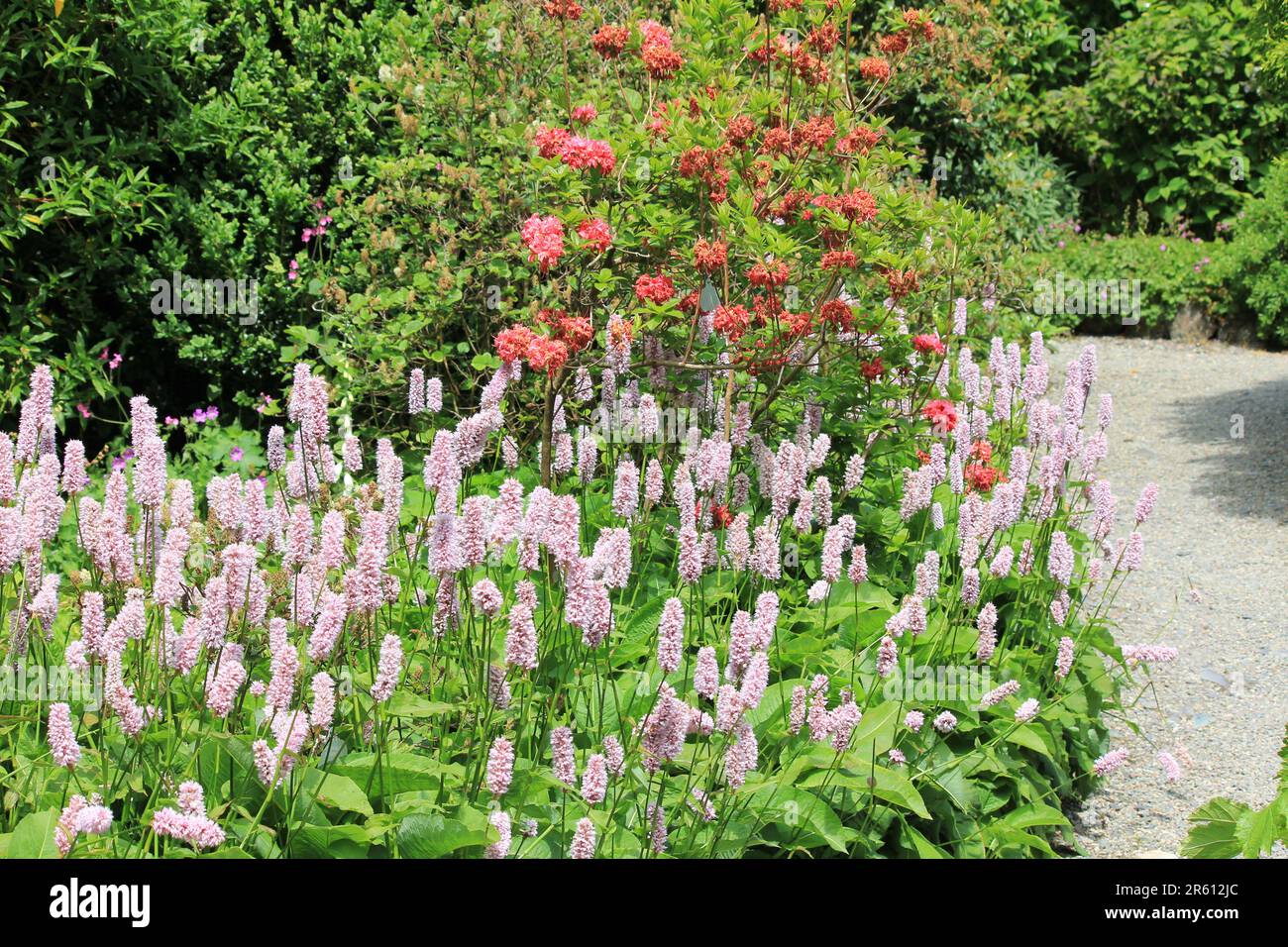The finest gardens of wales hi-res stock photography and images - Alamy
